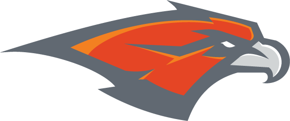 Home - Skyridge Football